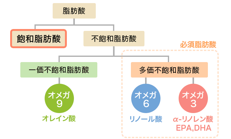 飽和脂肪酸とトランス脂肪酸の違いとは?健康的な食生活のための脂質の知識