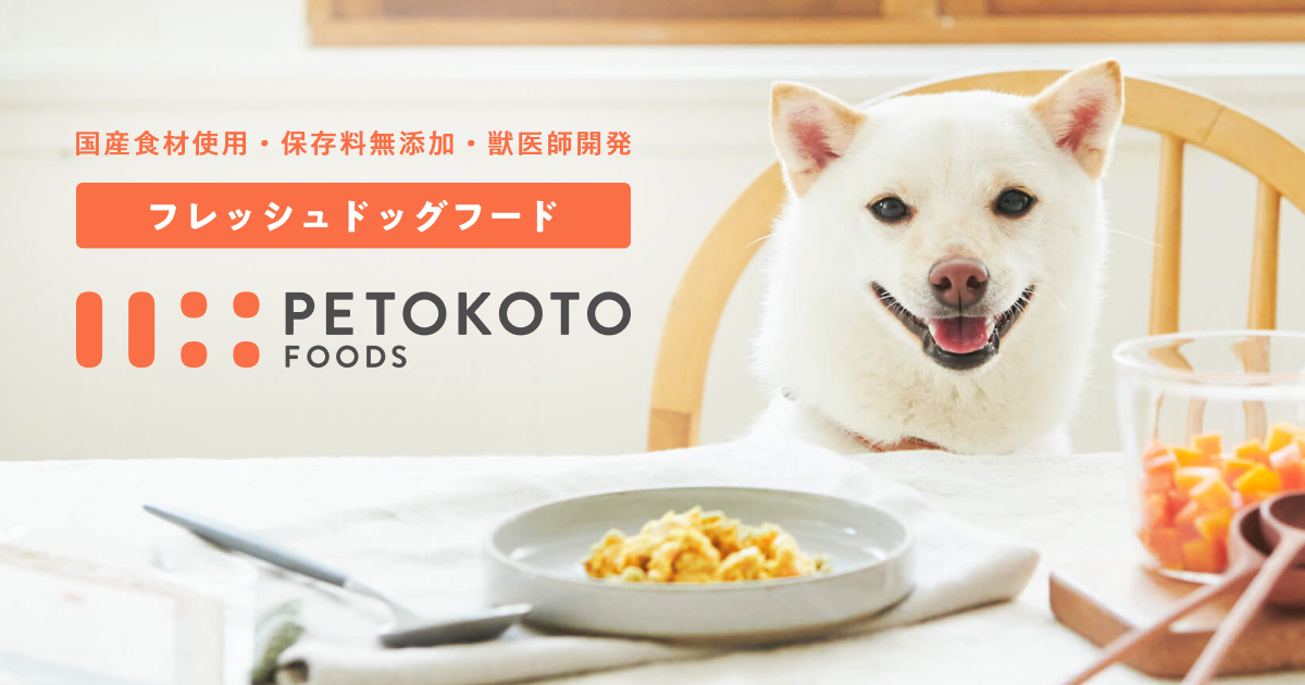 味が選べる定期便 フレッシュドッグフード 100g×24パック I ペトコトフーズ 【PETOKOTO FOODS】